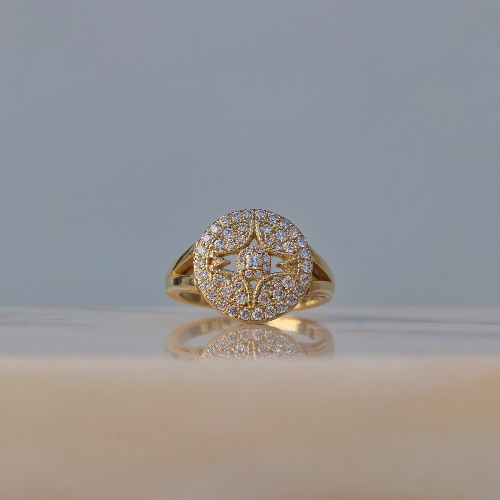 Jana Ring – Meyrav Shavit Online