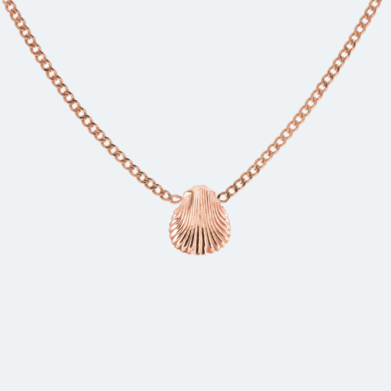 Seashell Choker – Meyrav Shavit Online